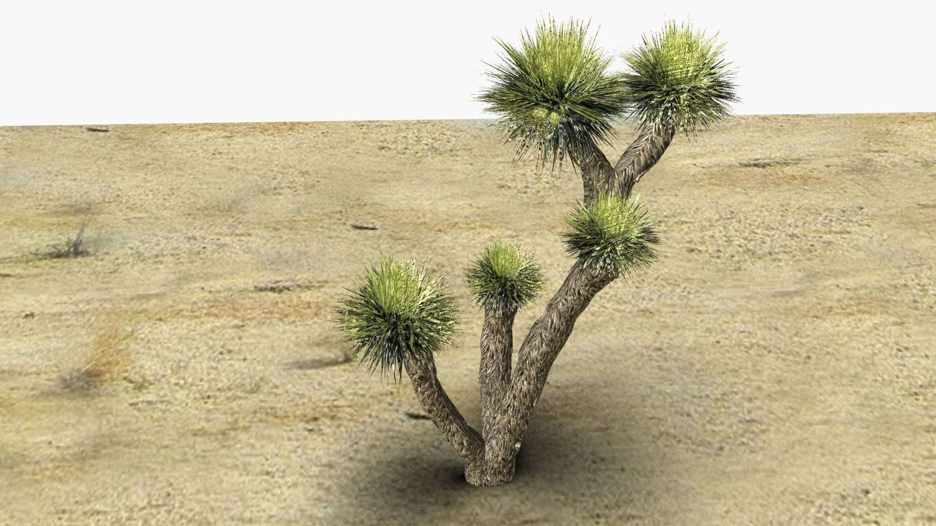 Joshua Tree Model - TurboSquid 1921909