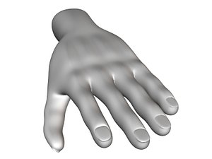 Hand 3D Models for Download | TurboSquid