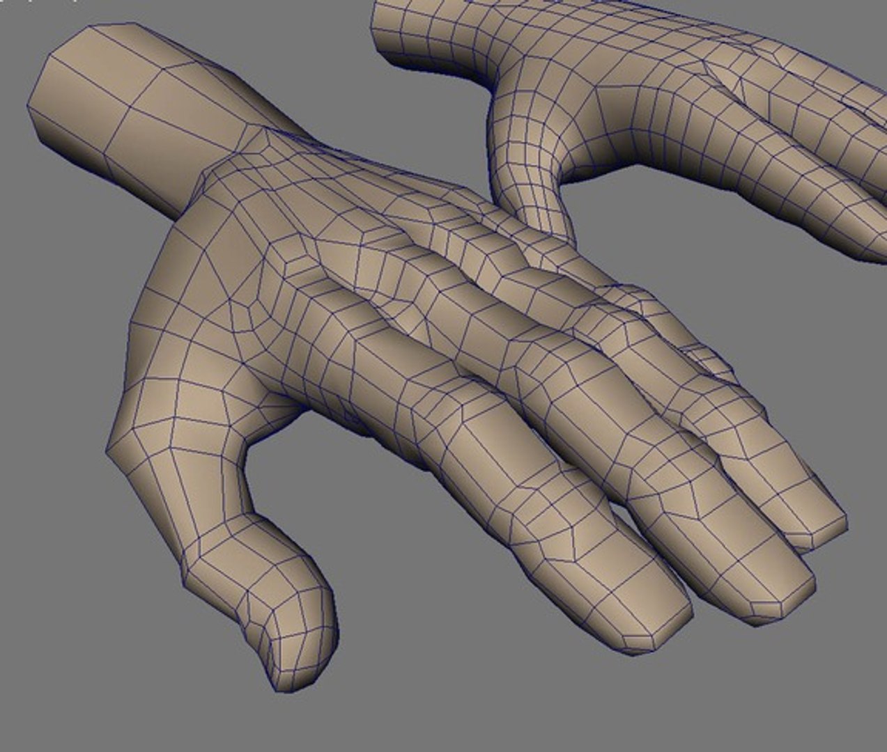 Hand 3d Model