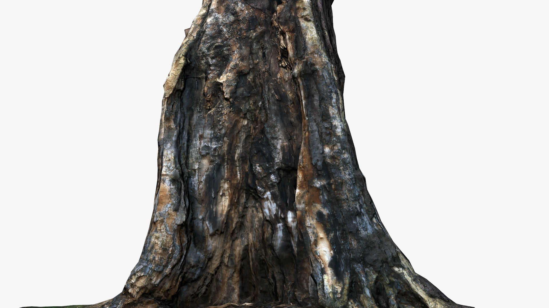 Burnt Tree 3D Model - TurboSquid 1717835