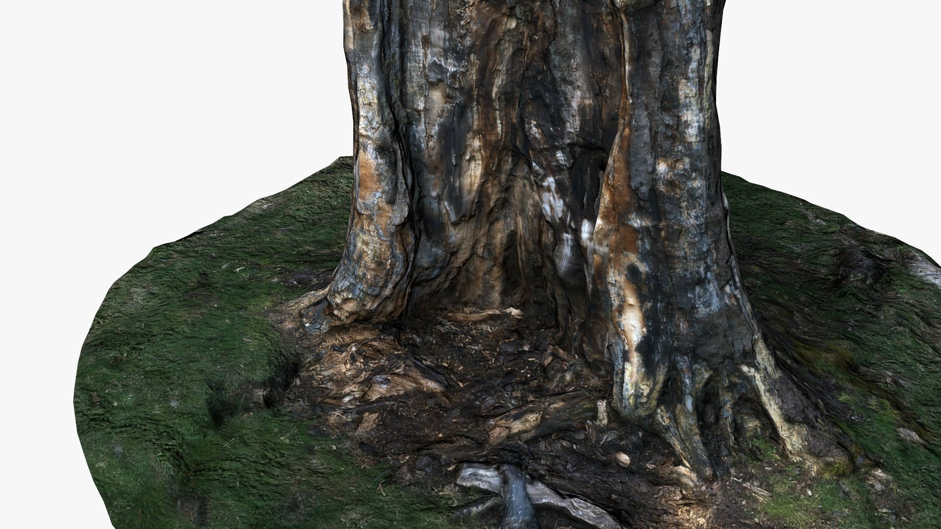 Burnt Tree 3D Model - TurboSquid 1717835