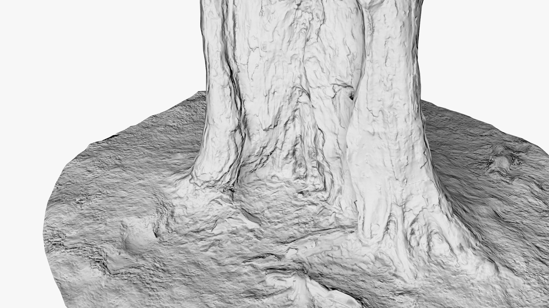 Burnt Tree 3D Model - TurboSquid 1717835