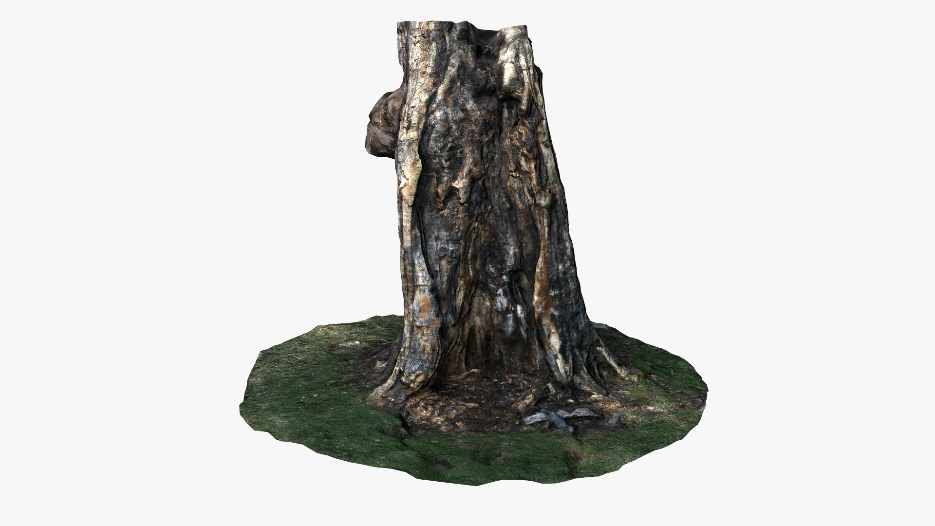 Burnt Tree 3D model - TurboSquid 1717835