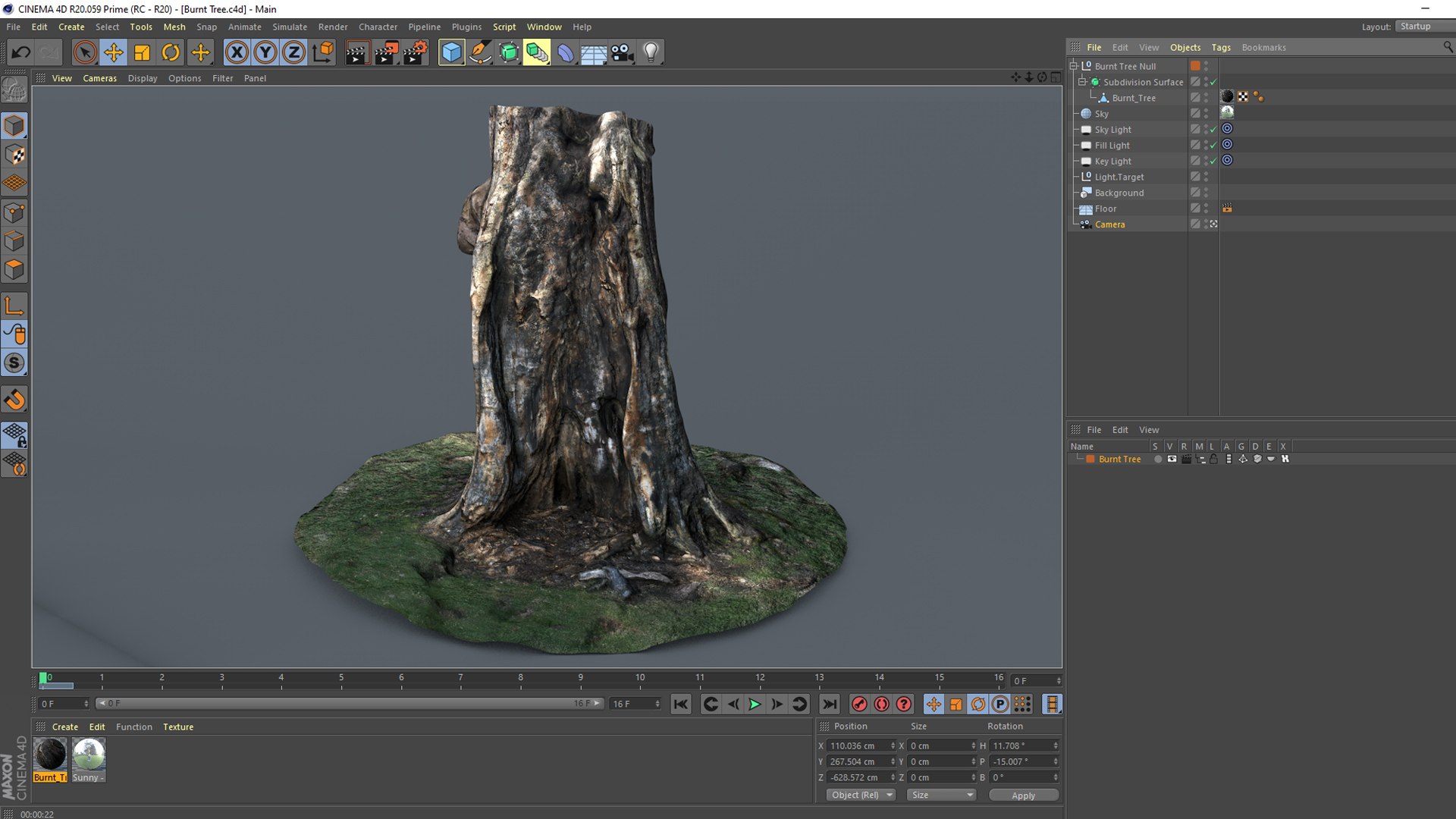 Burnt Tree 3D Model - TurboSquid 1717835