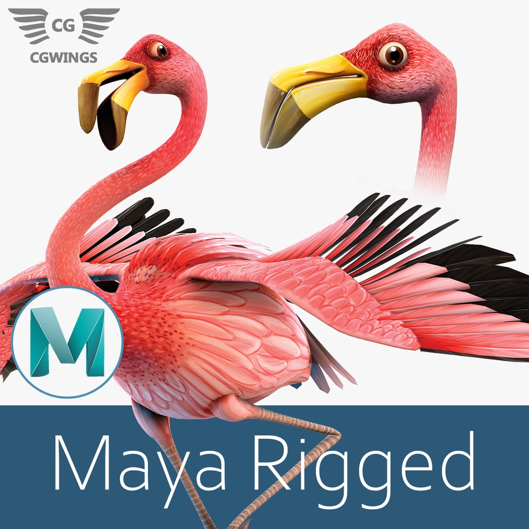 3D Flamingo Stylized - TurboSquid 1597081