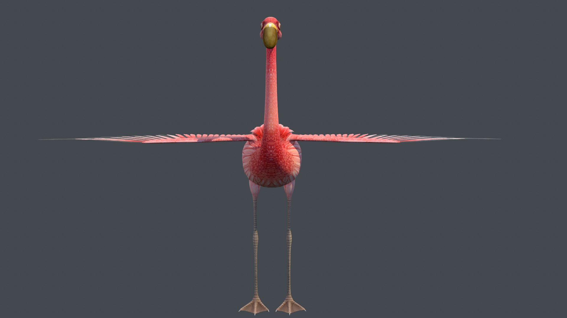 3D Flamingo Stylized - TurboSquid 1597081