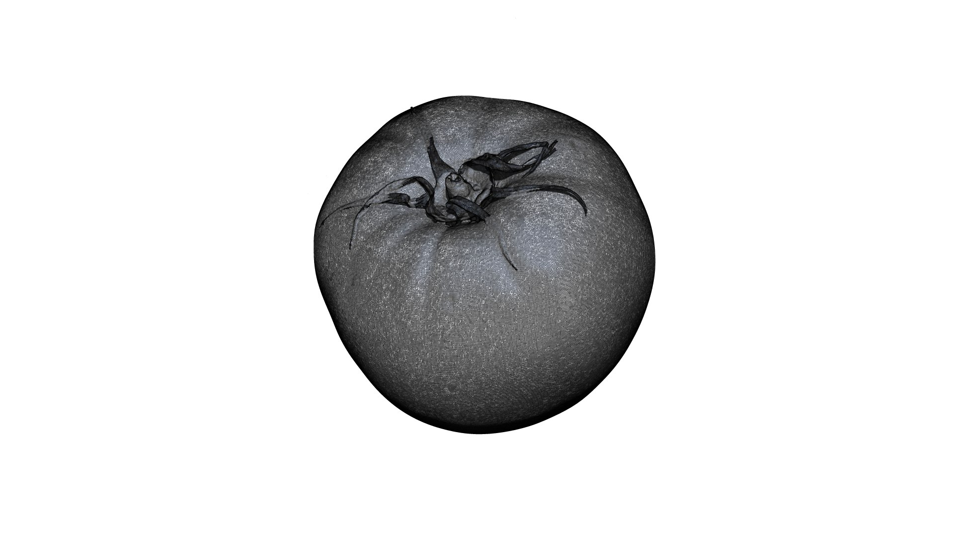 3D Tomato 3D CT Scan Model Decimate 80 Percent - TurboSquid 1908514