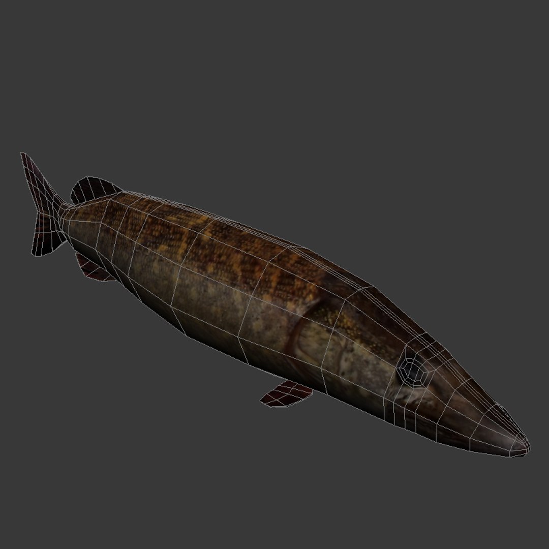 pike 3d model