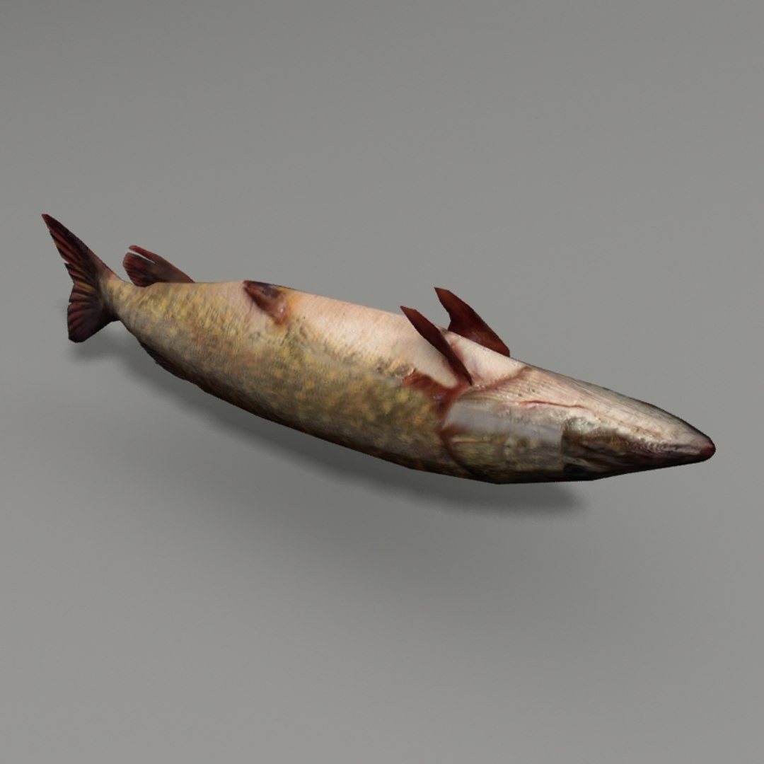 pike 3d model