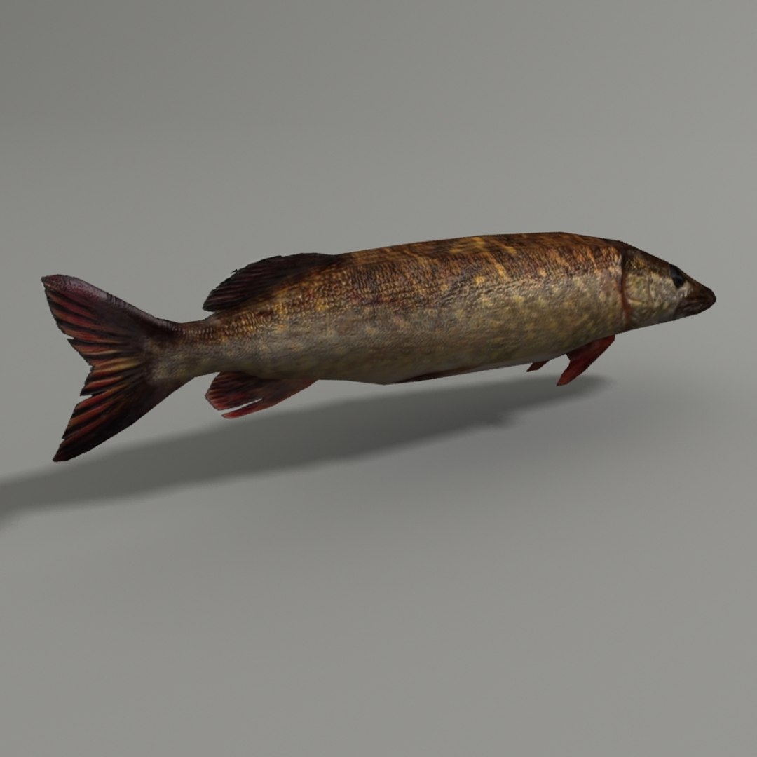 pike 3d model