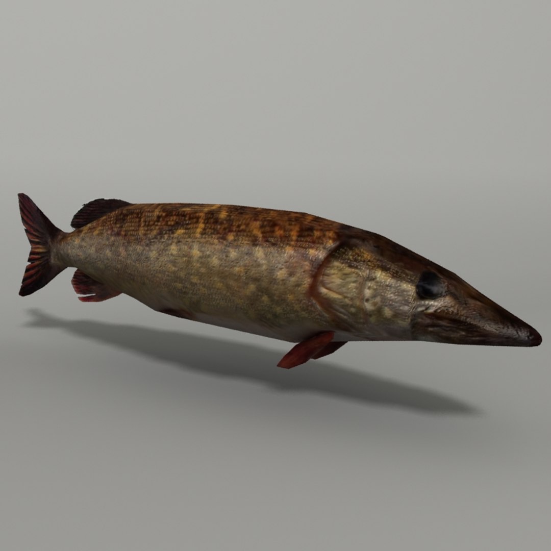 pike 3d model