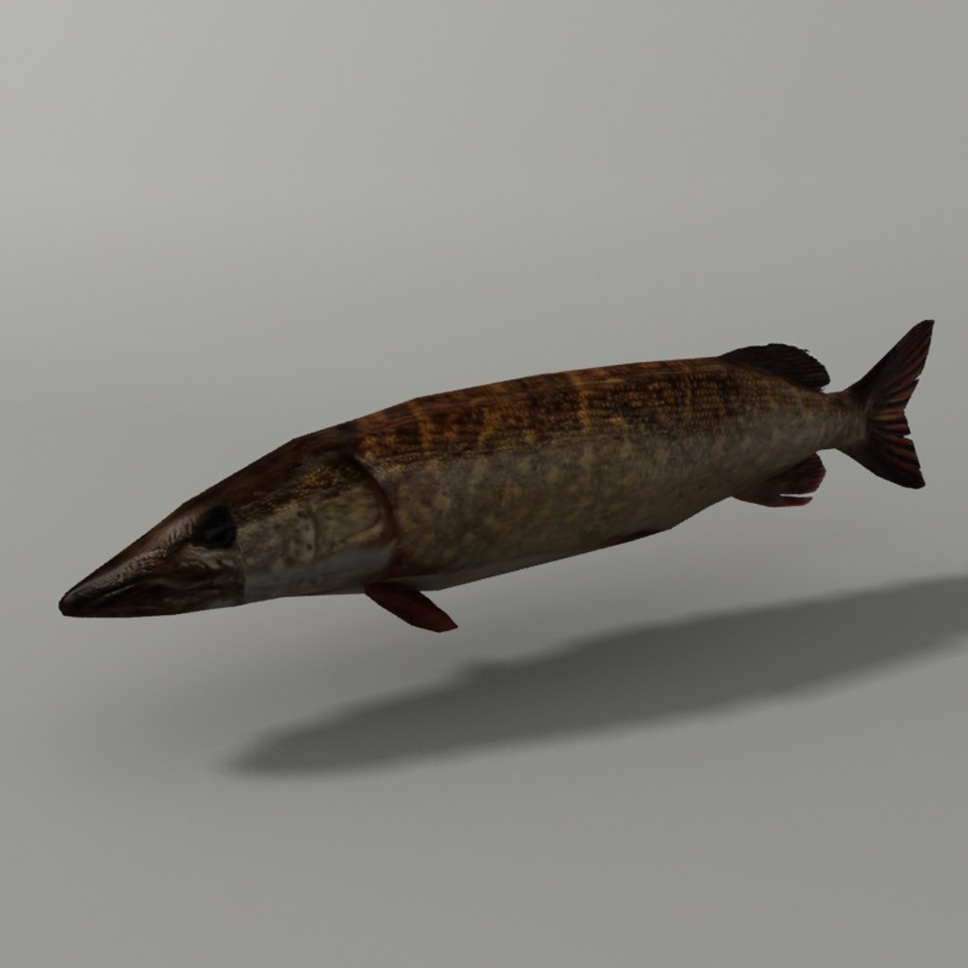 pike 3d model