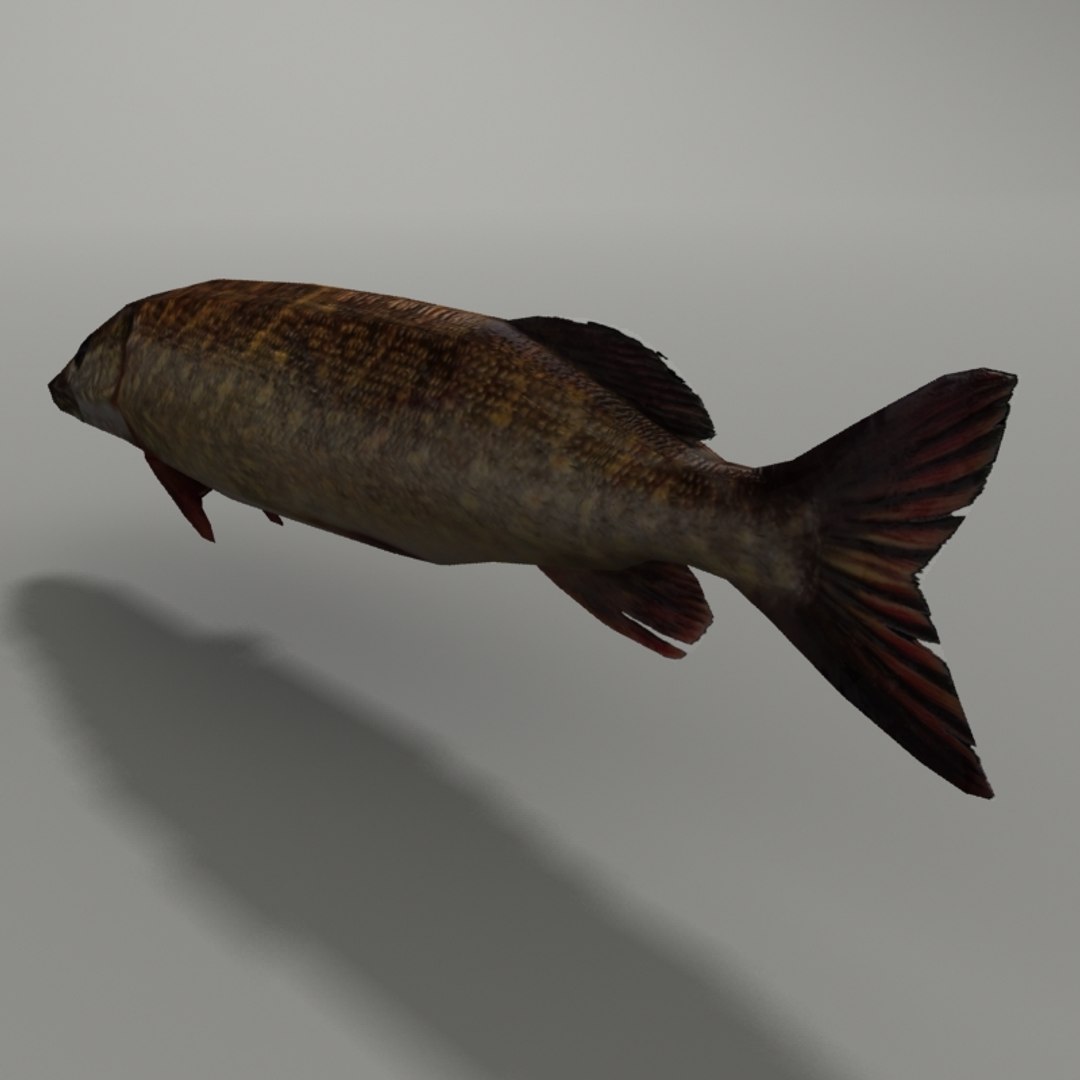pike 3d model