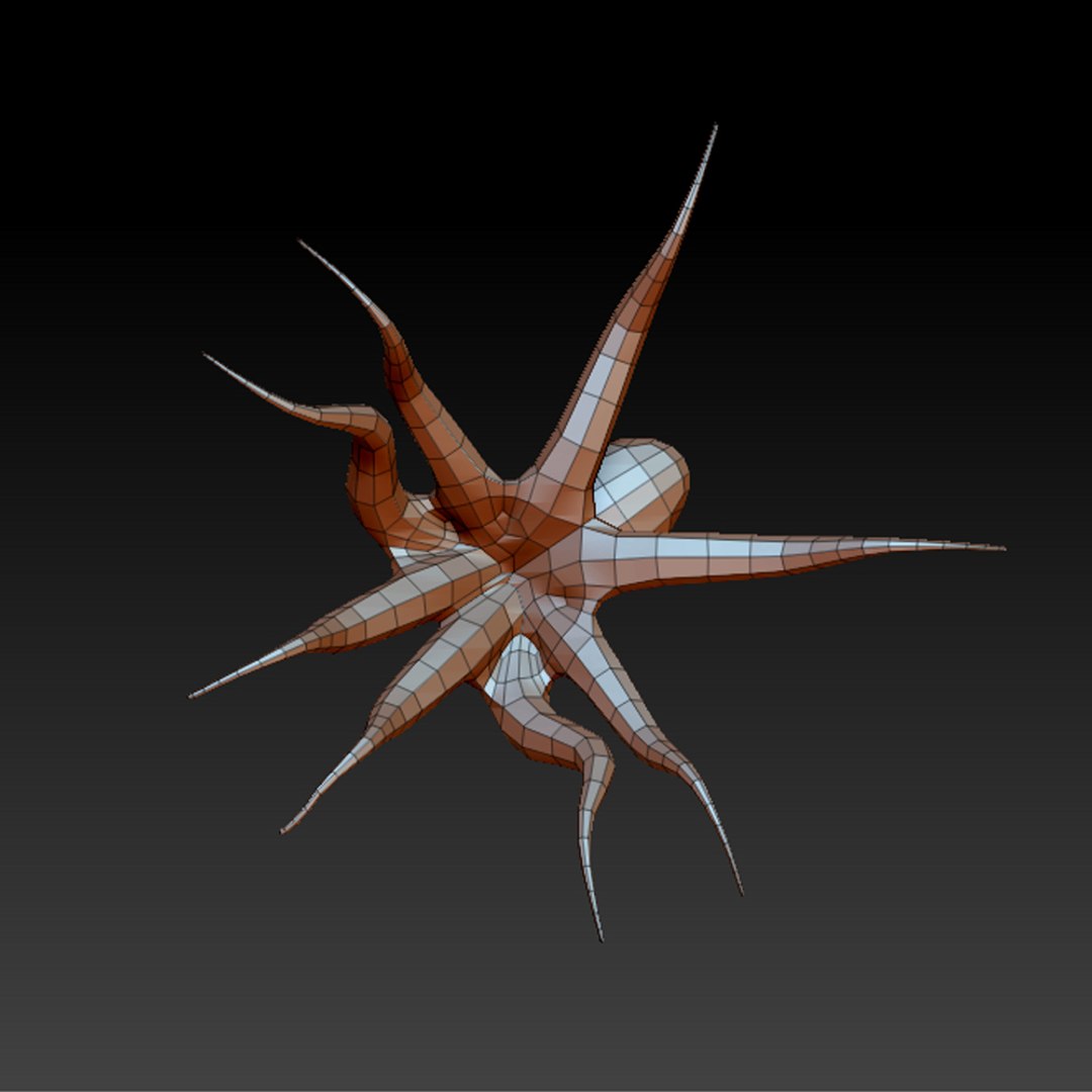 3D Octopus Model - TurboSquid 1322905