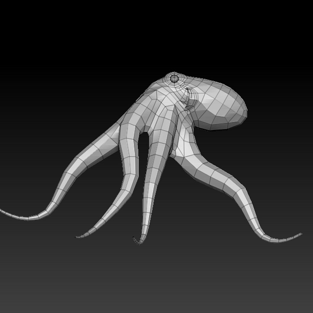3D Octopus Model - TurboSquid 1322905