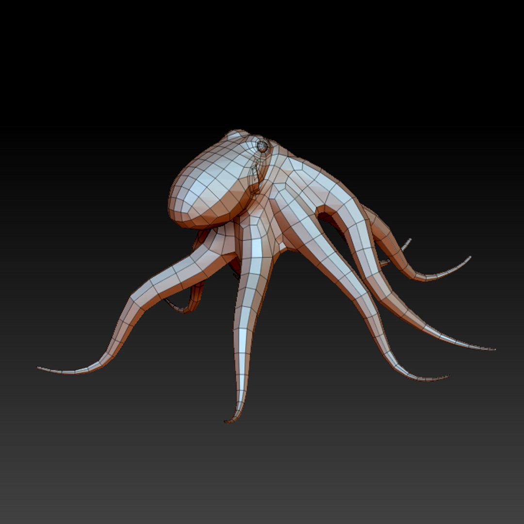 3D Octopus Model - TurboSquid 1322905