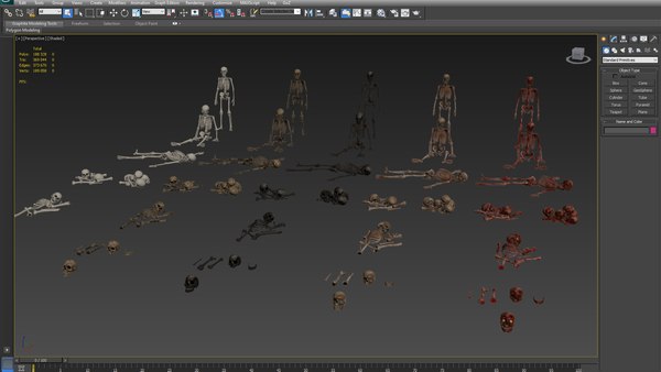 Human Bones Asset 3D model - TurboSquid 1764122