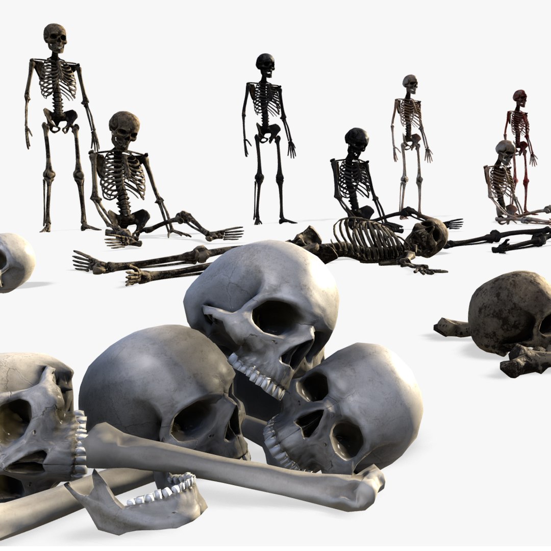 Human Bones Asset 3D model - TurboSquid 1764122