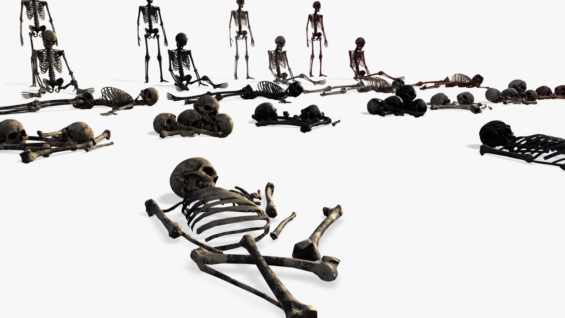 Human Bones Asset 3D model - TurboSquid 1764122