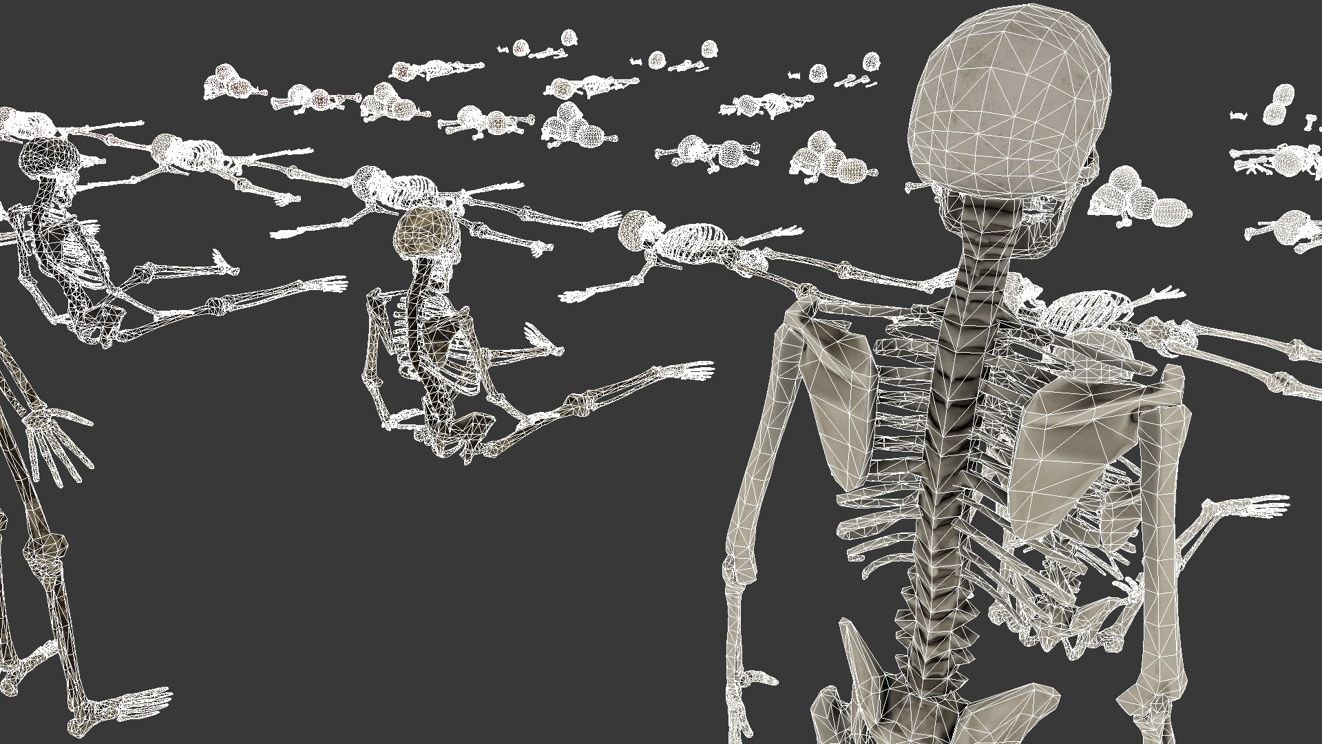 Human Bones Asset 3D model - TurboSquid 1764122