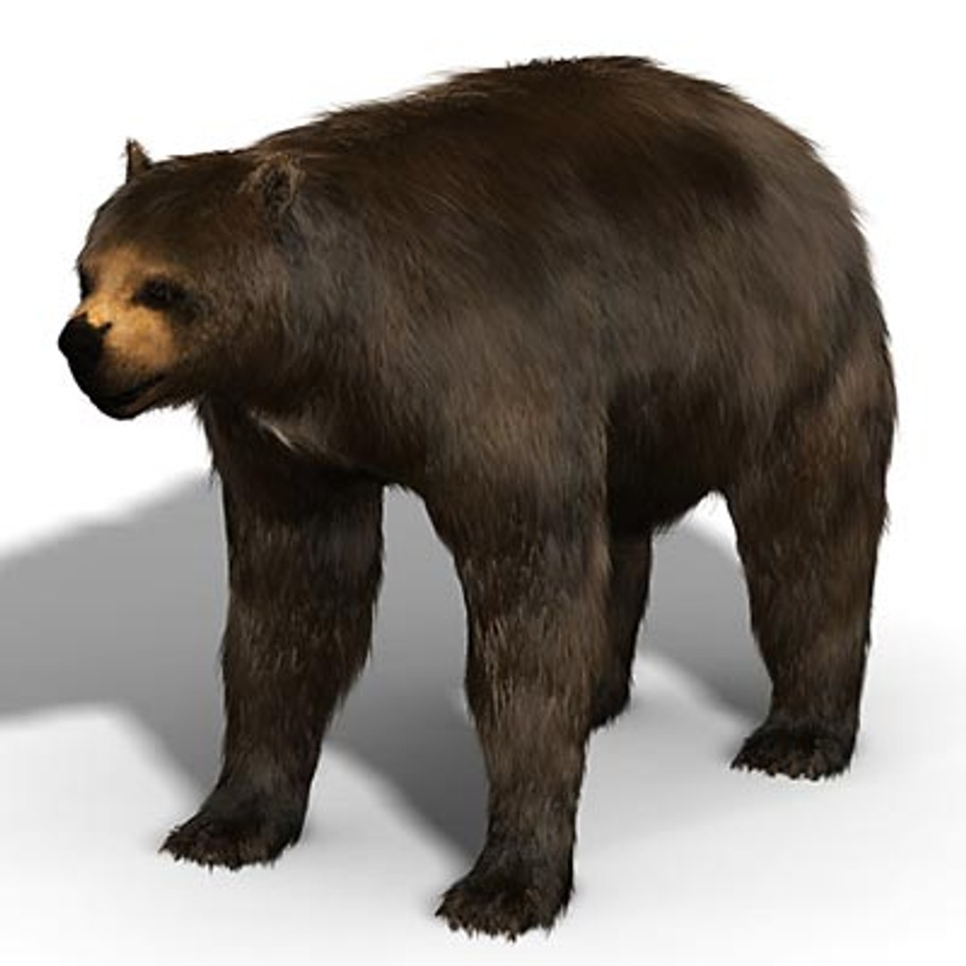 3dsmax Giant Bear Arctodus Simus
