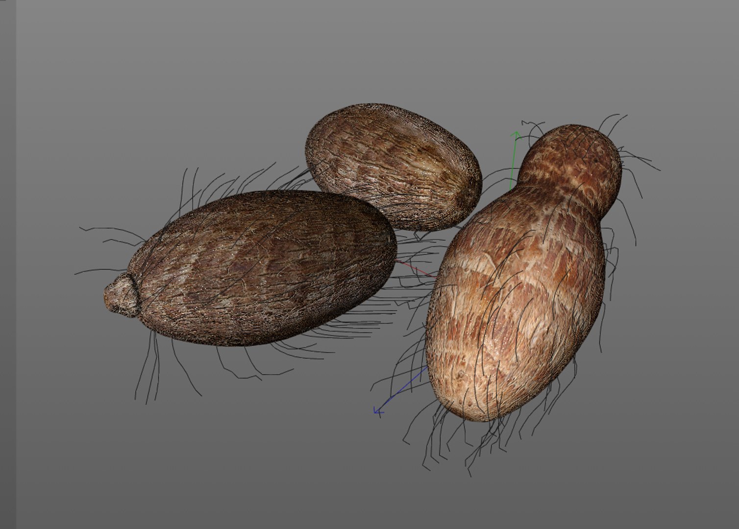 Taro 3D Model - TurboSquid 1544484