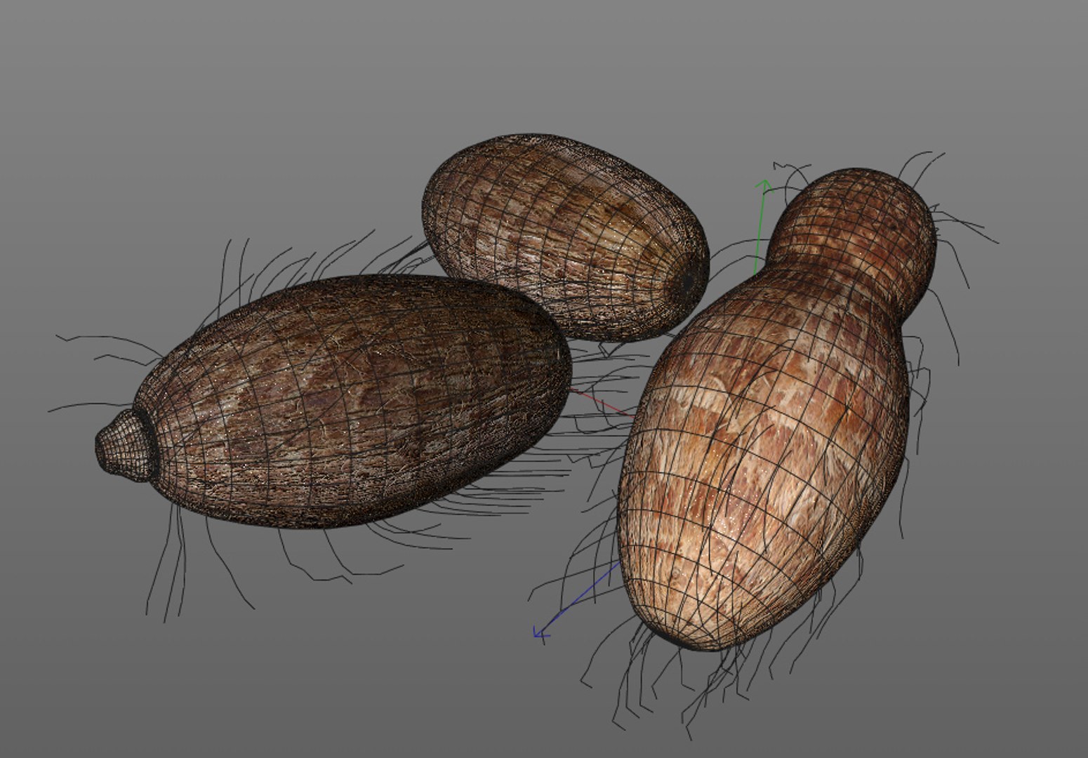 Taro 3D Model - TurboSquid 1544484