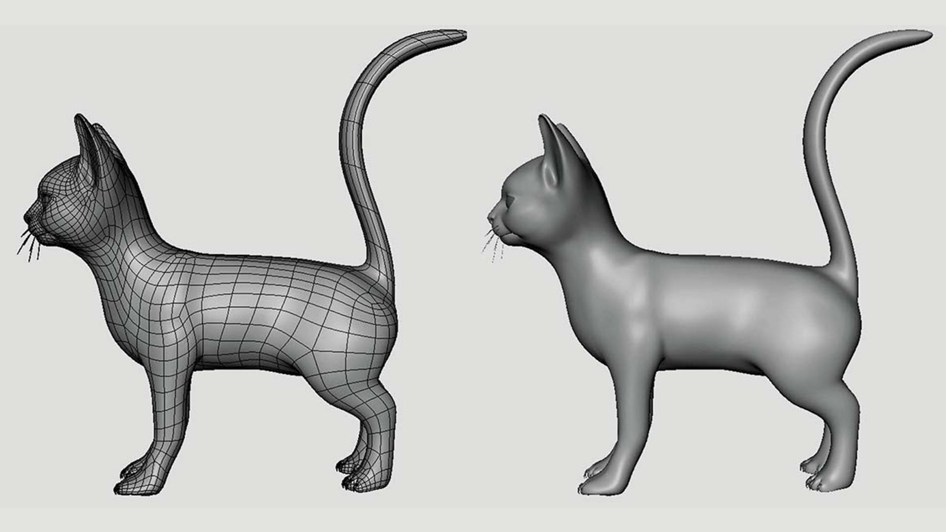 Cat Model - TurboSquid 2238268