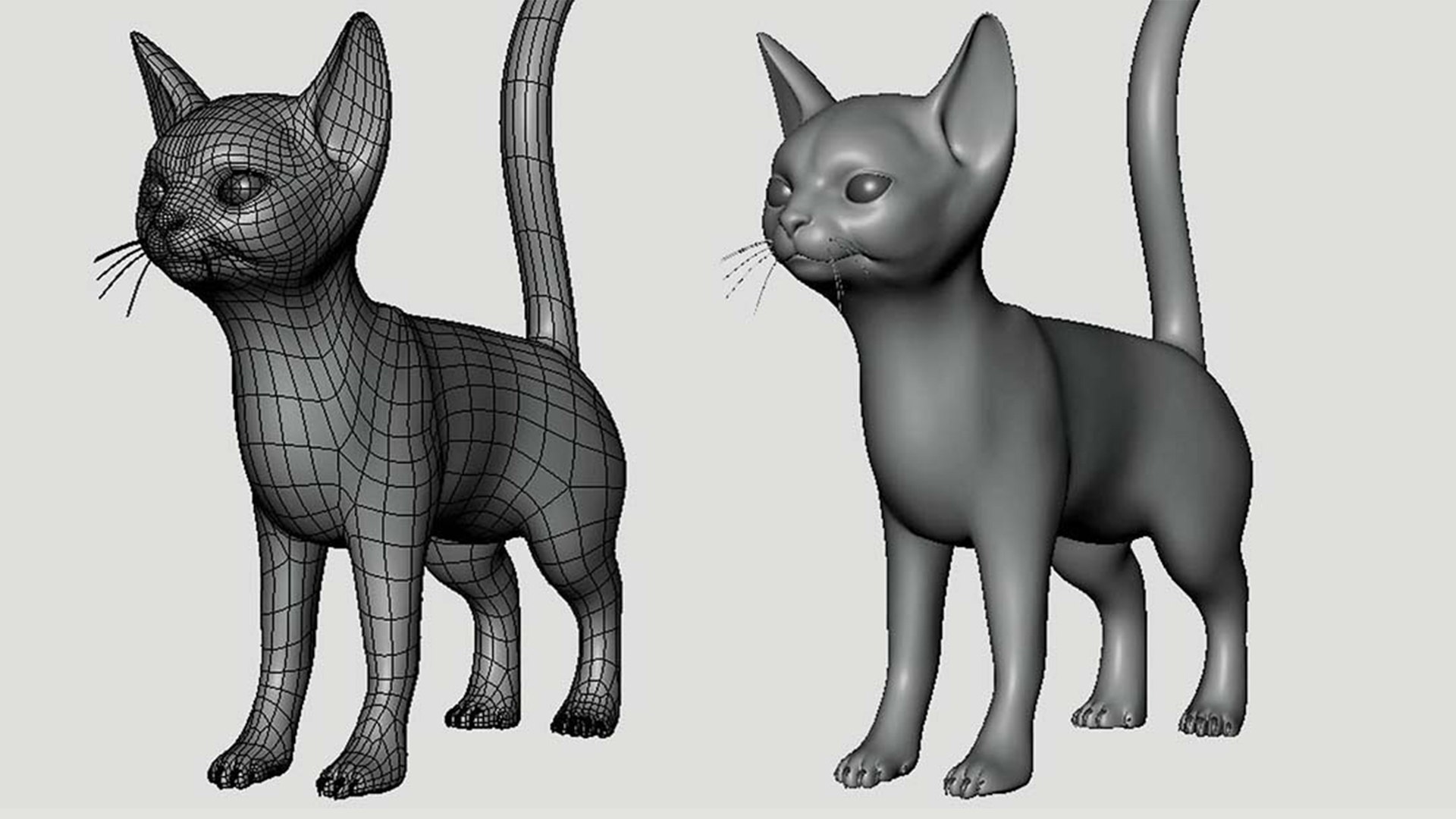 Cat Model - TurboSquid 2238268