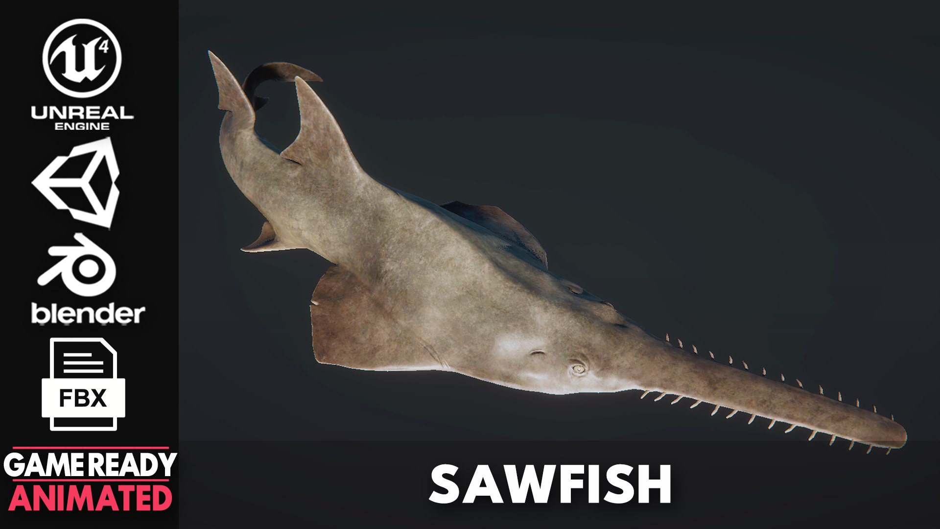 Sawfish 3D model - TurboSquid 1839737
