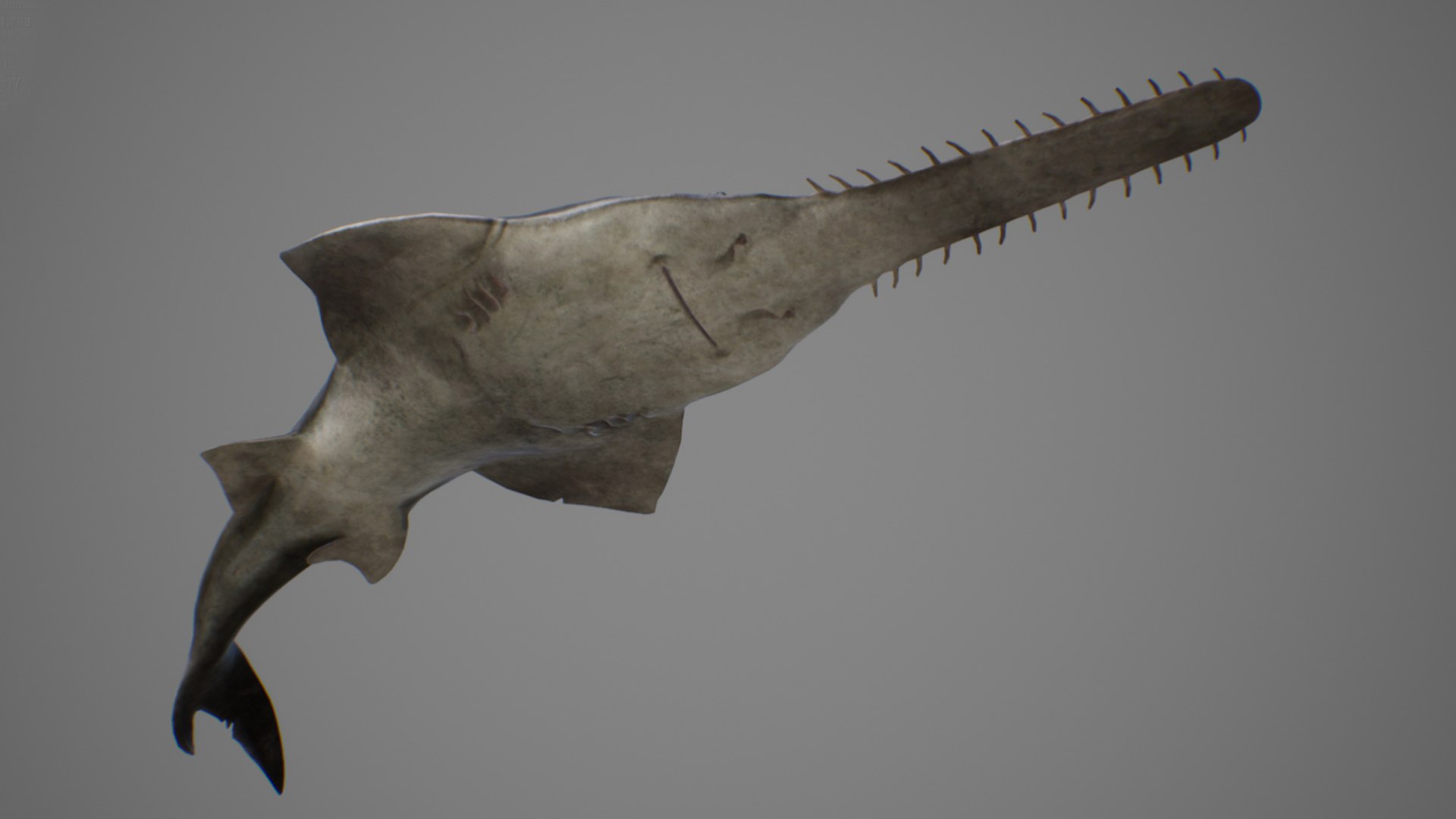 Sawfish 3D model - TurboSquid 1839737