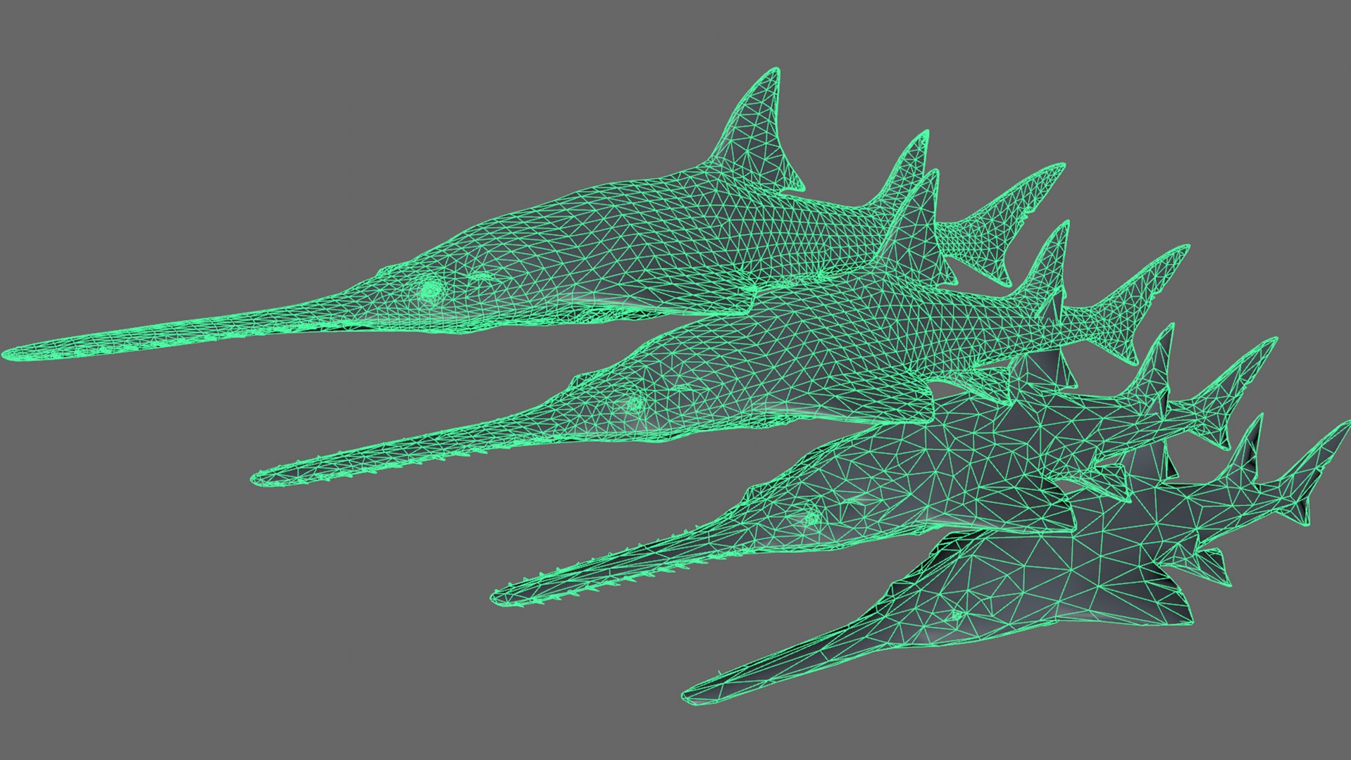 Sawfish 3D model - TurboSquid 1839737