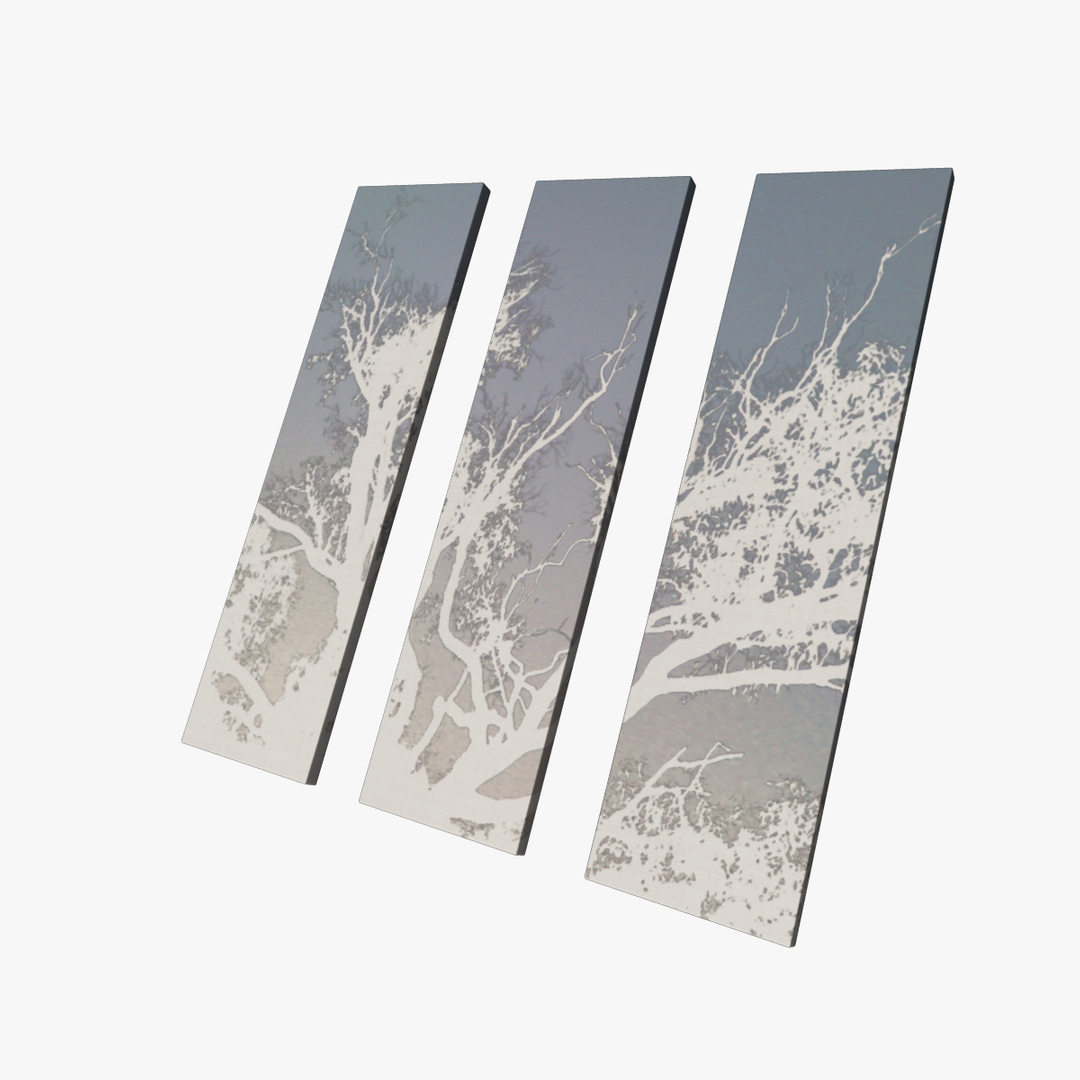 x long canvas frames