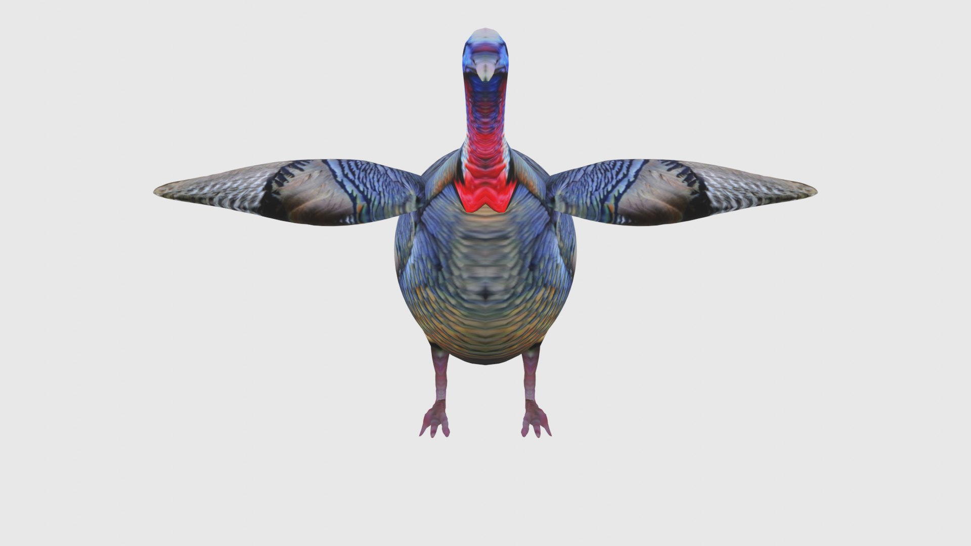 Low Poly Turkey Rigged With Realistic Texture 3D Model - TurboSquid 1876013