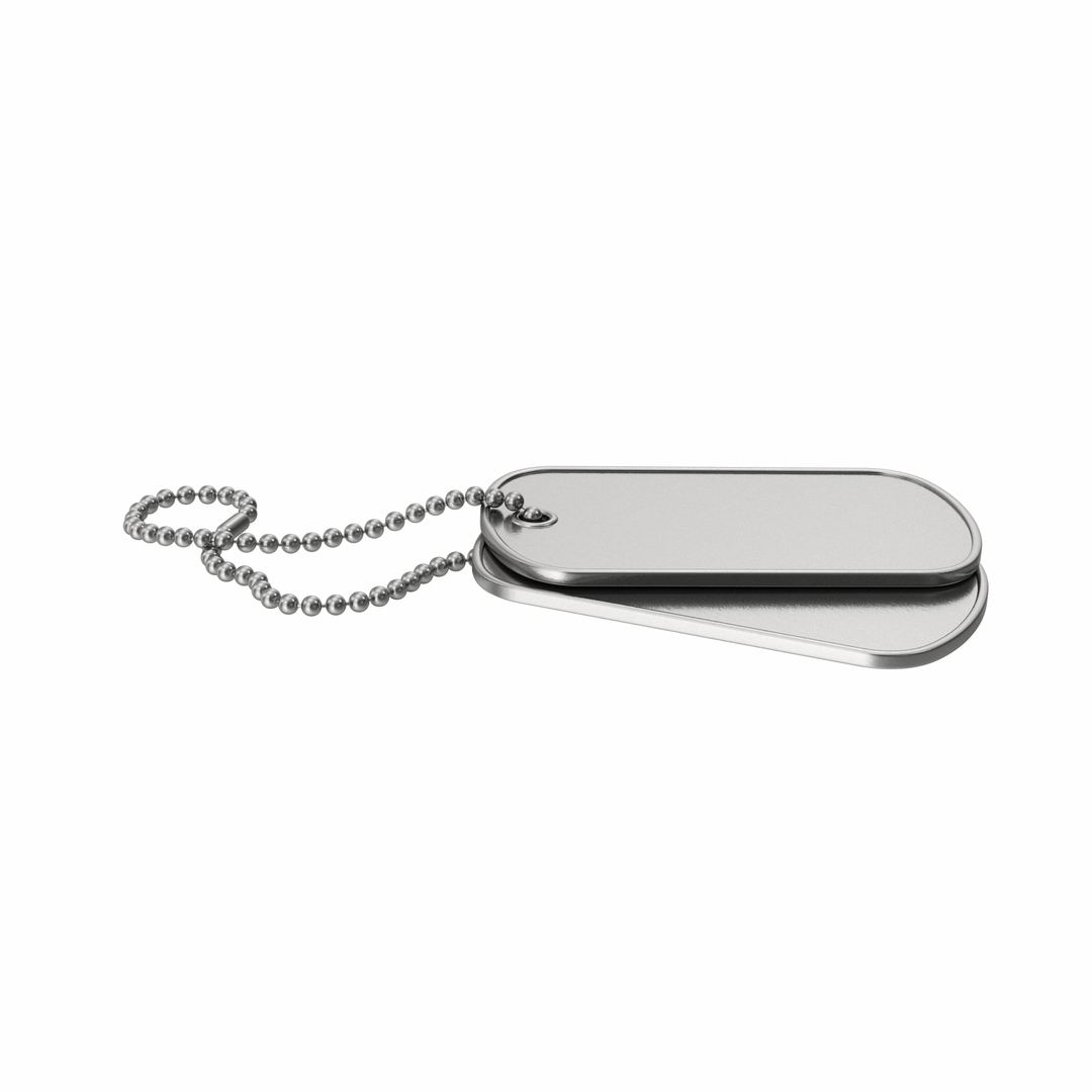 Steel Dog Tags 3D Model - TurboSquid 2229234