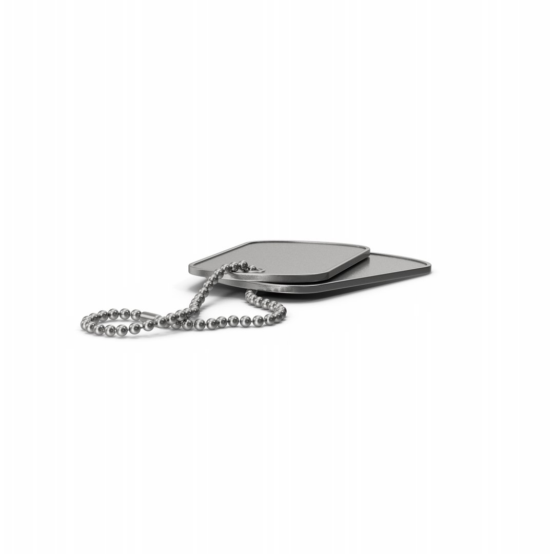Steel Dog Tags 3D Model - TurboSquid 2229234