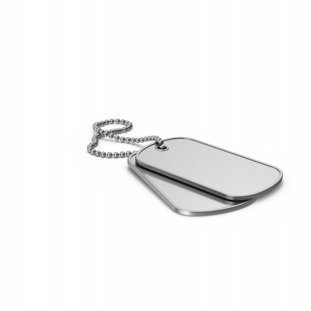 Steel Dog Tags 3D Model - TurboSquid 2229234