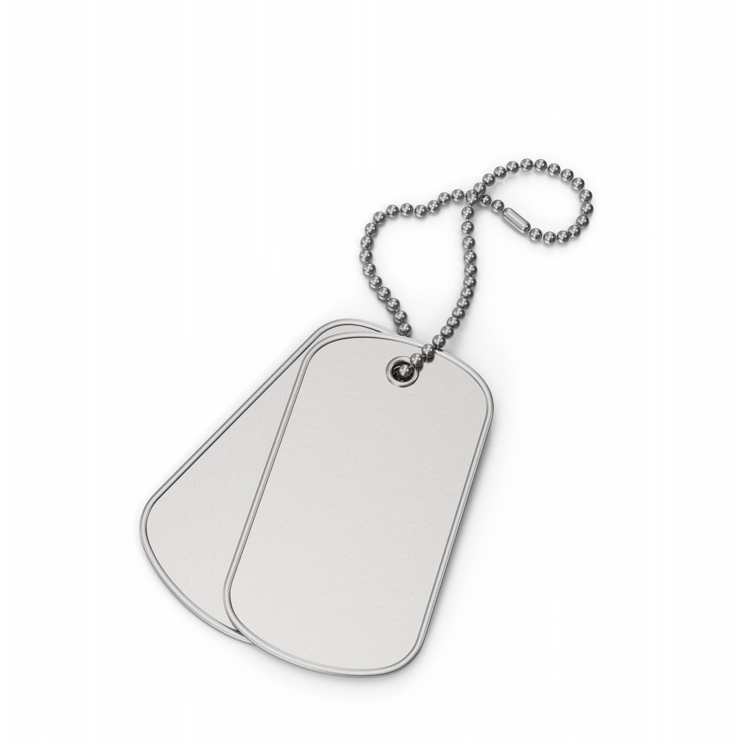 Steel Dog Tags 3D Model - TurboSquid 2229234