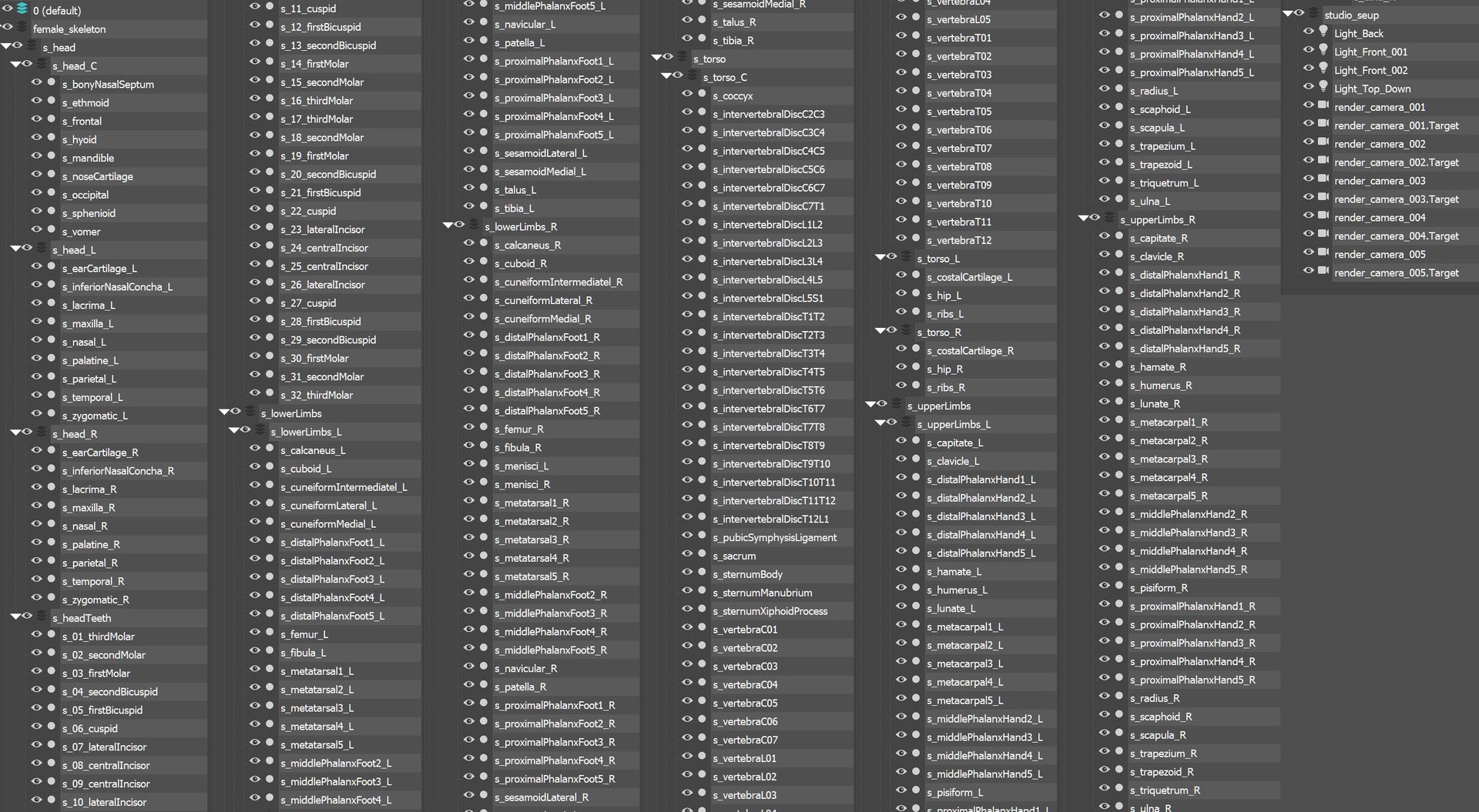 Human Female Skeleton Static 3D Model - TurboSquid 2058668