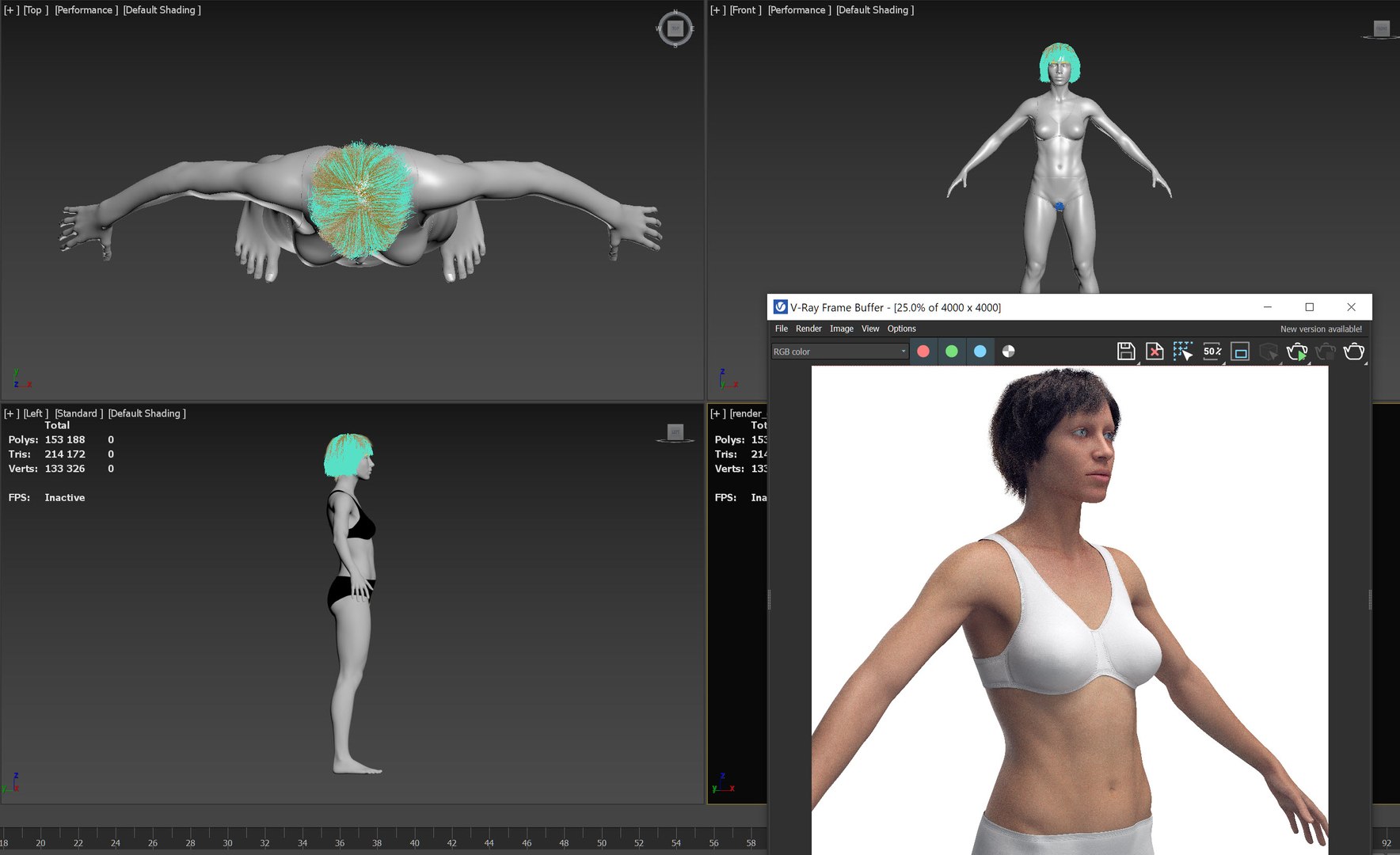 Human Female Skeleton Static 3D Model - TurboSquid 2058668