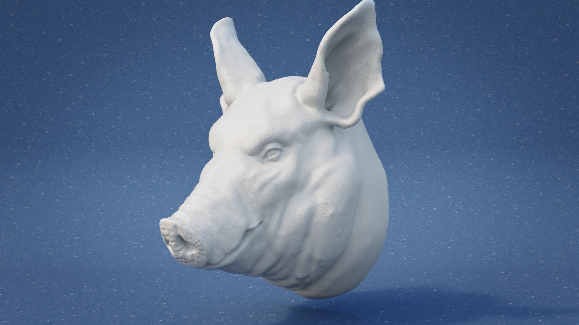 3D Model Pig Head Wall Mount - TurboSquid 2222076