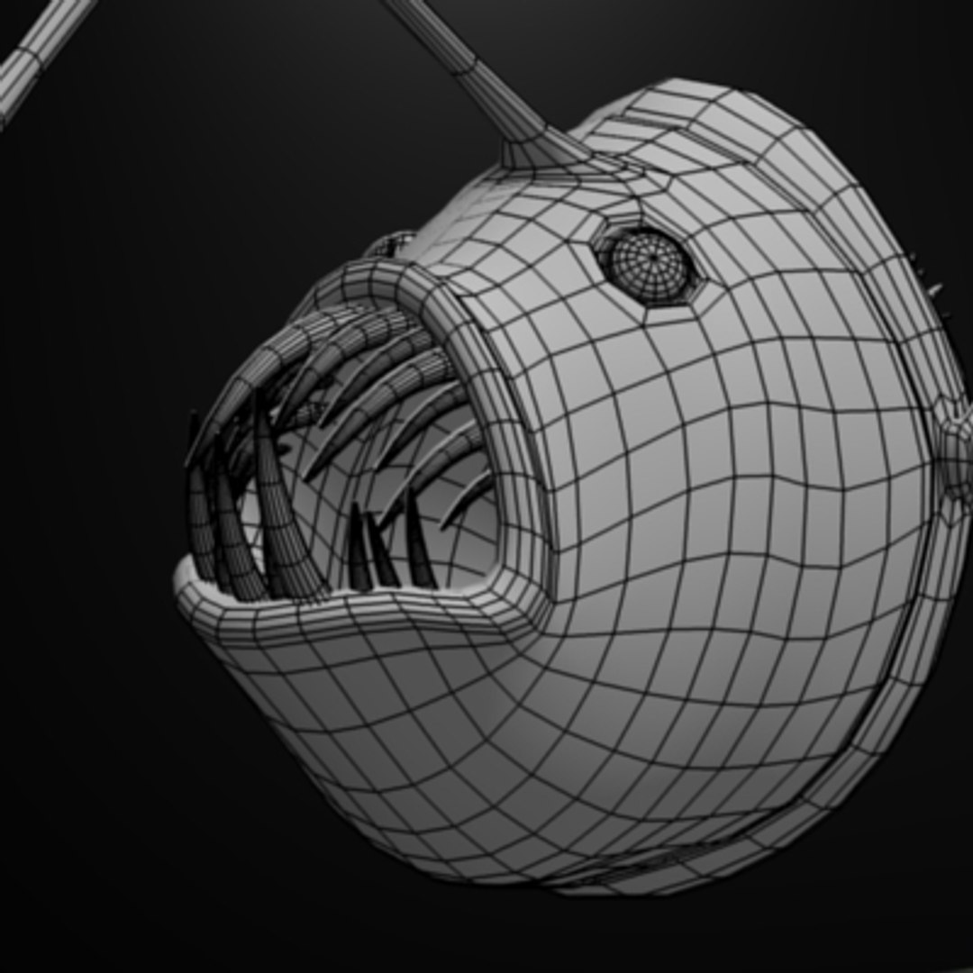 3d Humpback Anglerfish Fish