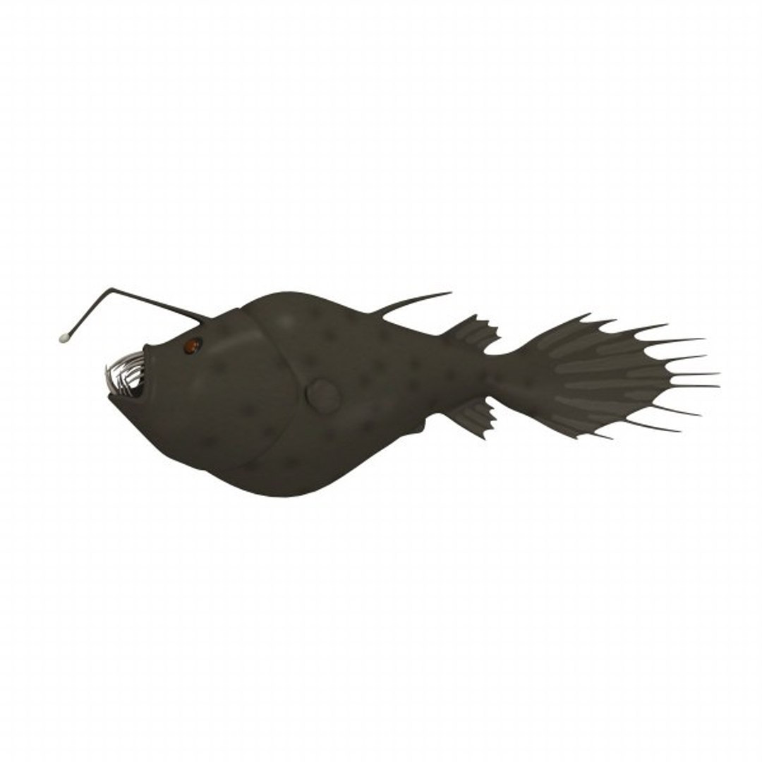 3d Humpback Anglerfish Fish