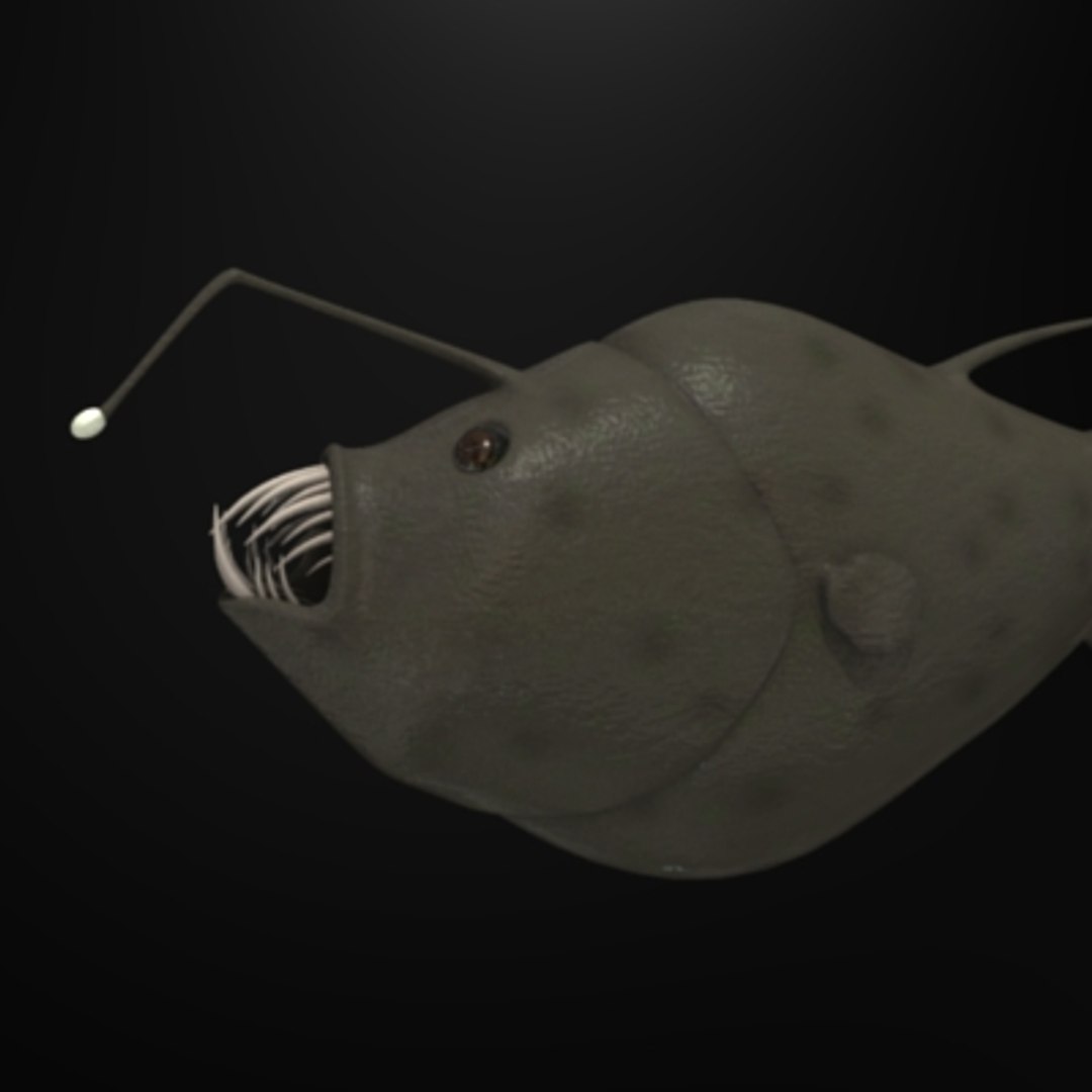 3d Humpback Anglerfish Fish