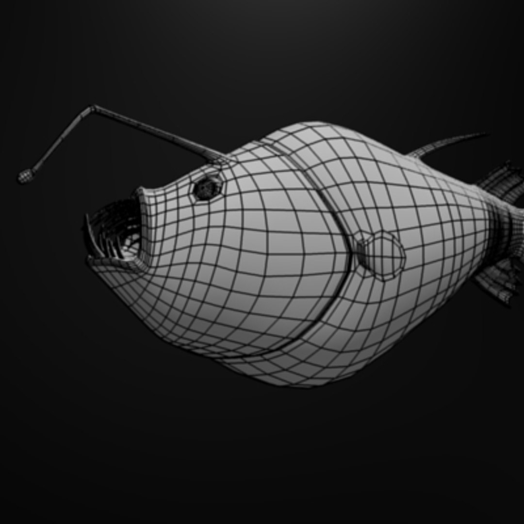 3d Humpback Anglerfish Fish
