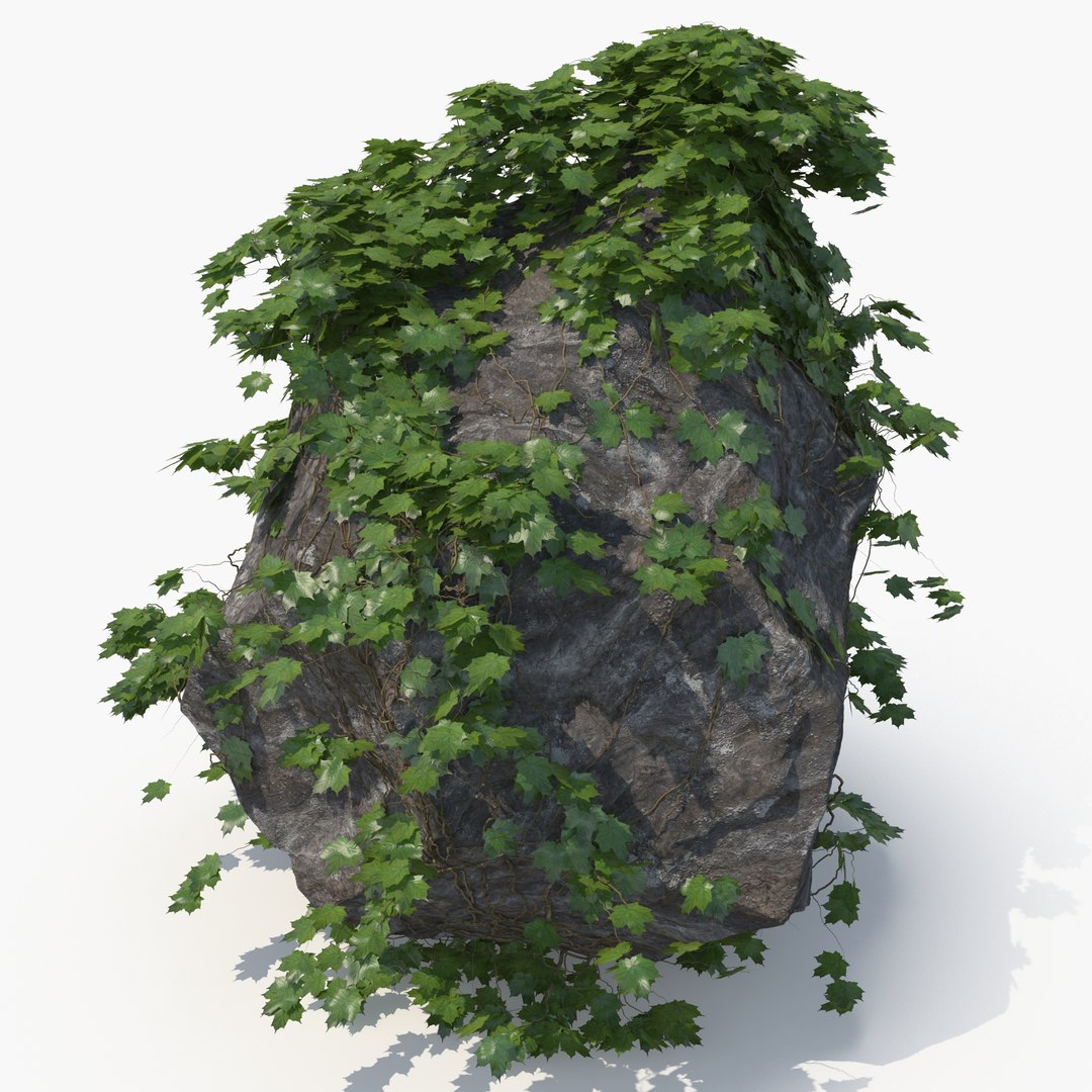 Realistic Ivy Rock 3d X