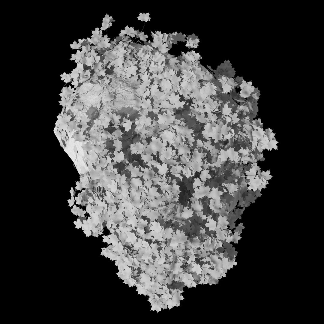 Realistic Ivy Rock 3d X