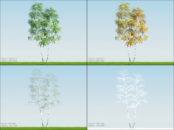 Free 3D Spring Models | TurboSquid