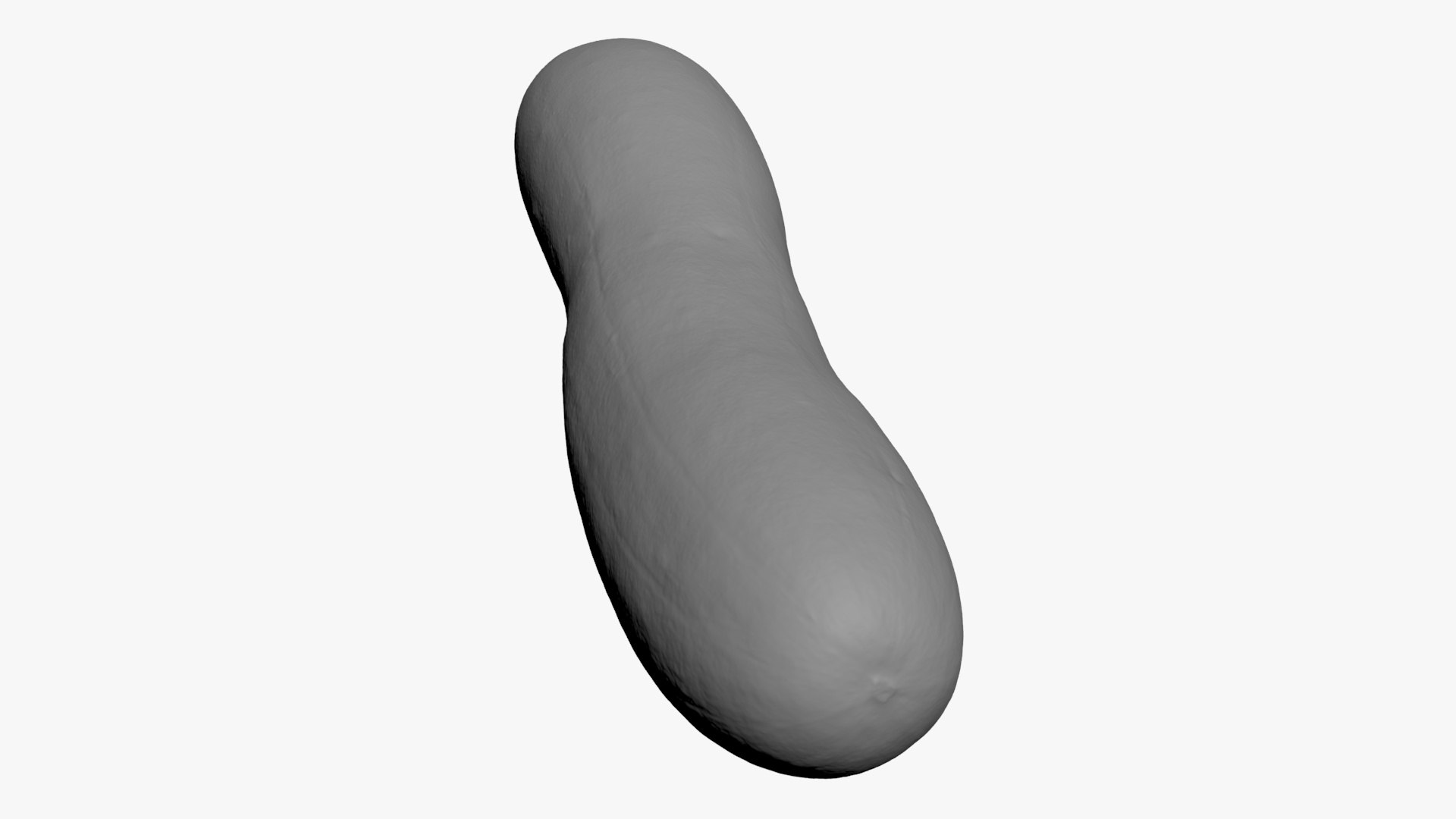 Cucumber 01 For 3D Print 3D Model - TurboSquid 2369825