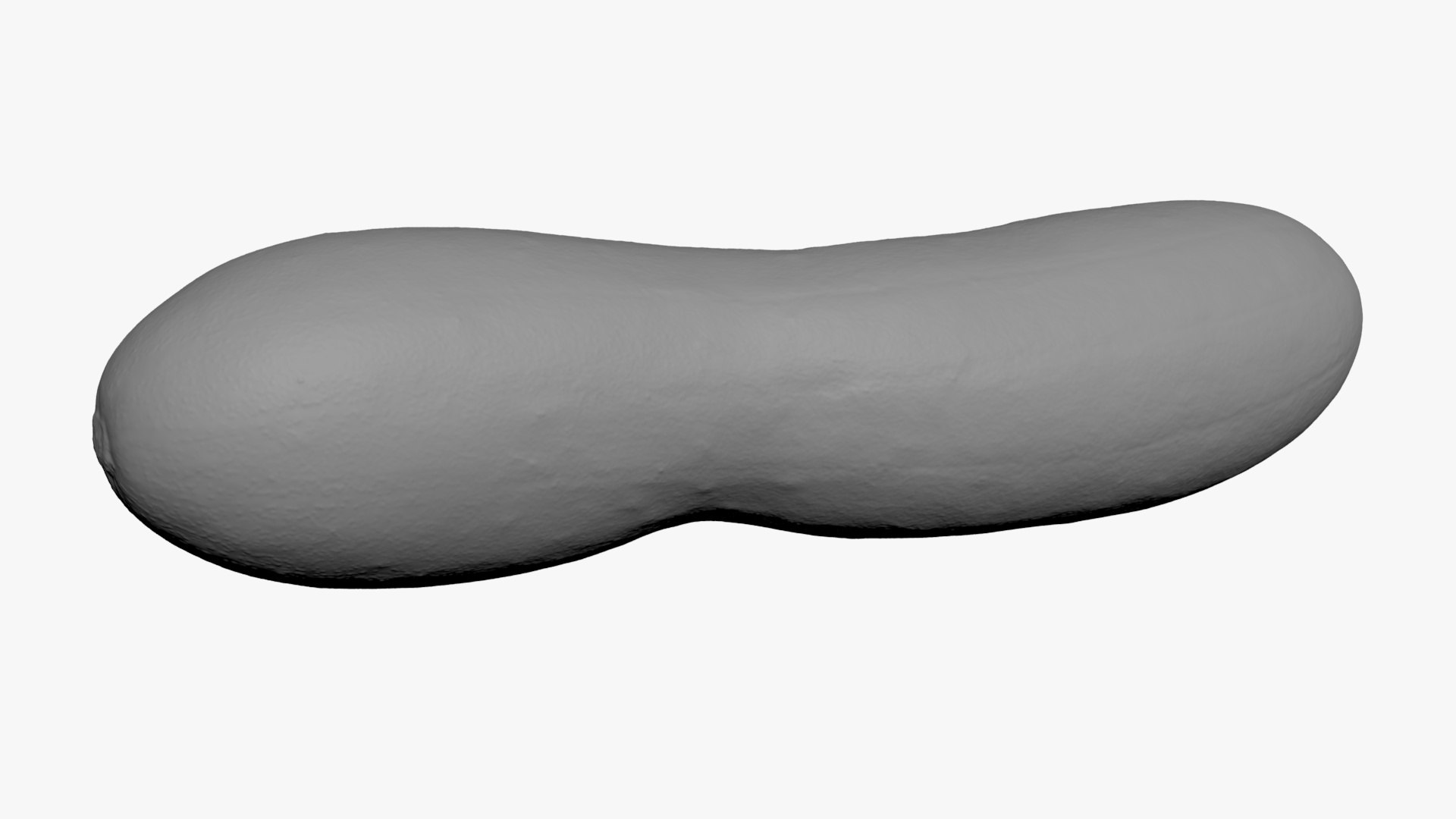 Cucumber 01 For 3D Print 3D Model - TurboSquid 2369825